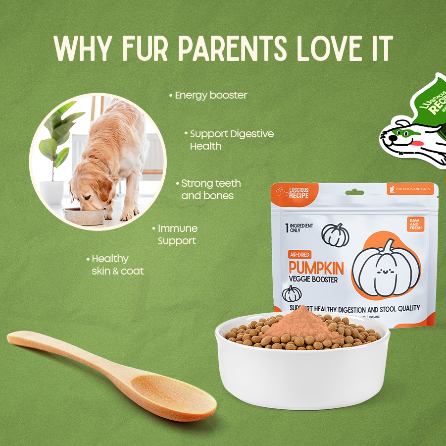 Luscious Recipe Freeze Dried Veggie Booster Pure Pumpkin Powder Food ...