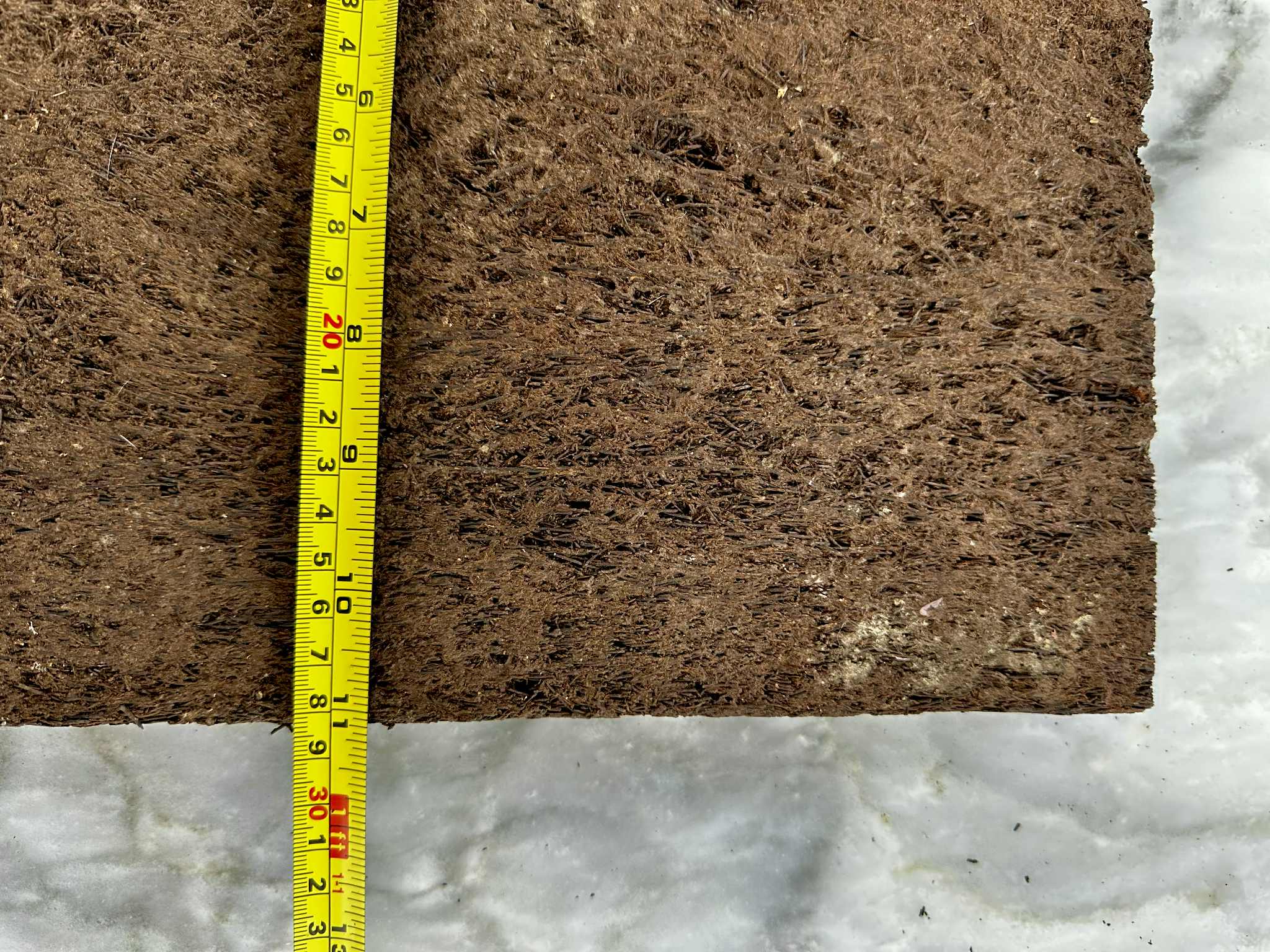BUY 1 TAKE 1 BIG SIZE ORGANIC FERN SLAB (40cm x 28cm x 2.5 cm) Good for ...