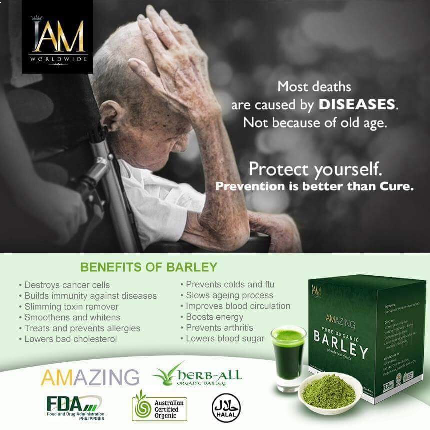 Original IAM Amazing Barley Pure Organic Barley Powder ...