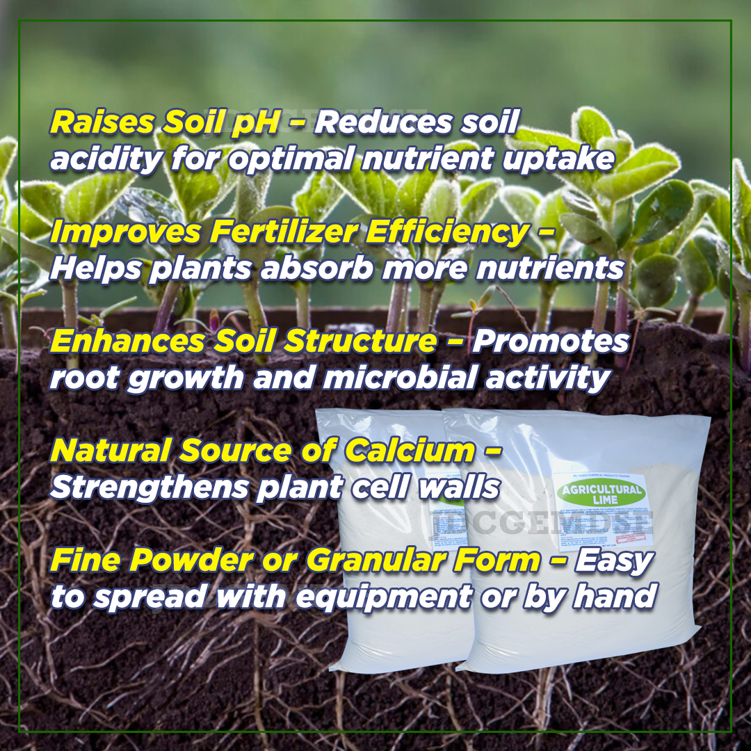 10 kg. High Quality Agricultural Lime / Apog / 100 mesh fine powder ...