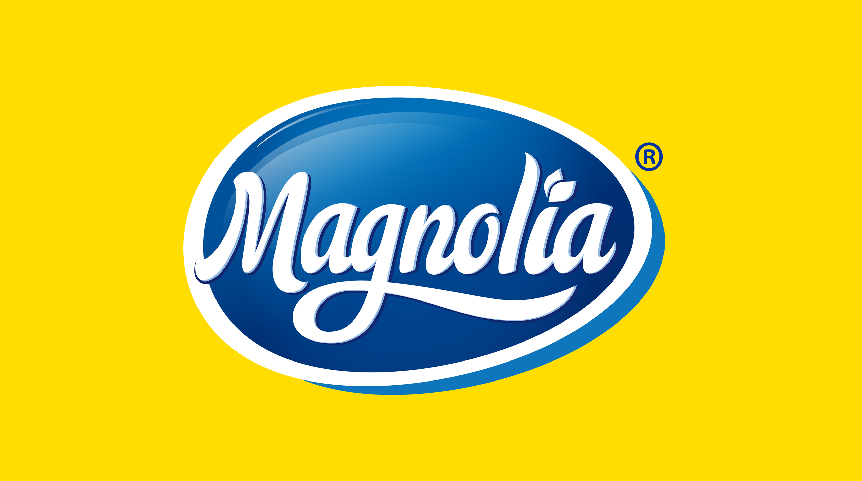 Daily Quezo Cheese Magnolia Processed Cheese 430G | Shopee Philippines