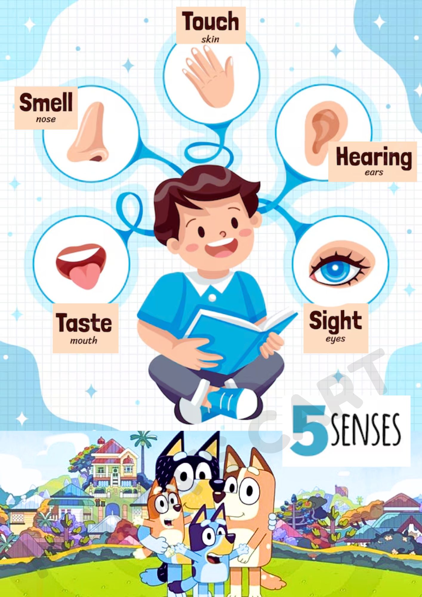 BLUEY EDUCATIONAL CHARTS A4 SIZE LAMINATED FOR KIDS ALPHABET NUMBERS ...