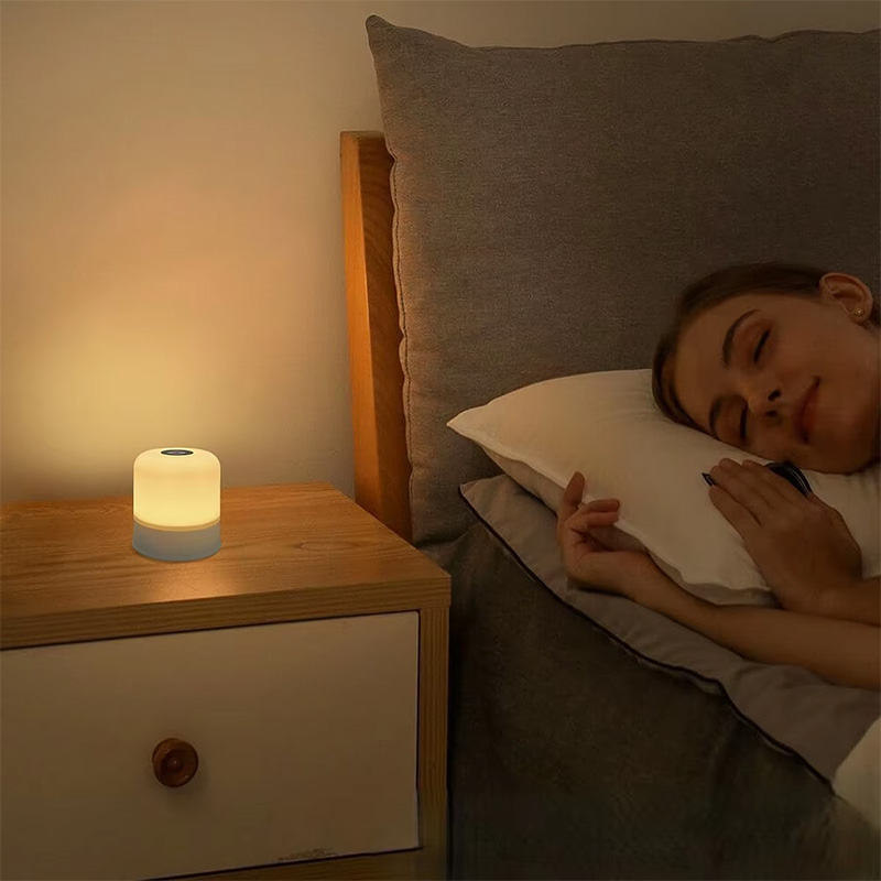 Dimmable Night Lamp LED Touch Lights USB Dim Light Small Bedside Lamps ...
