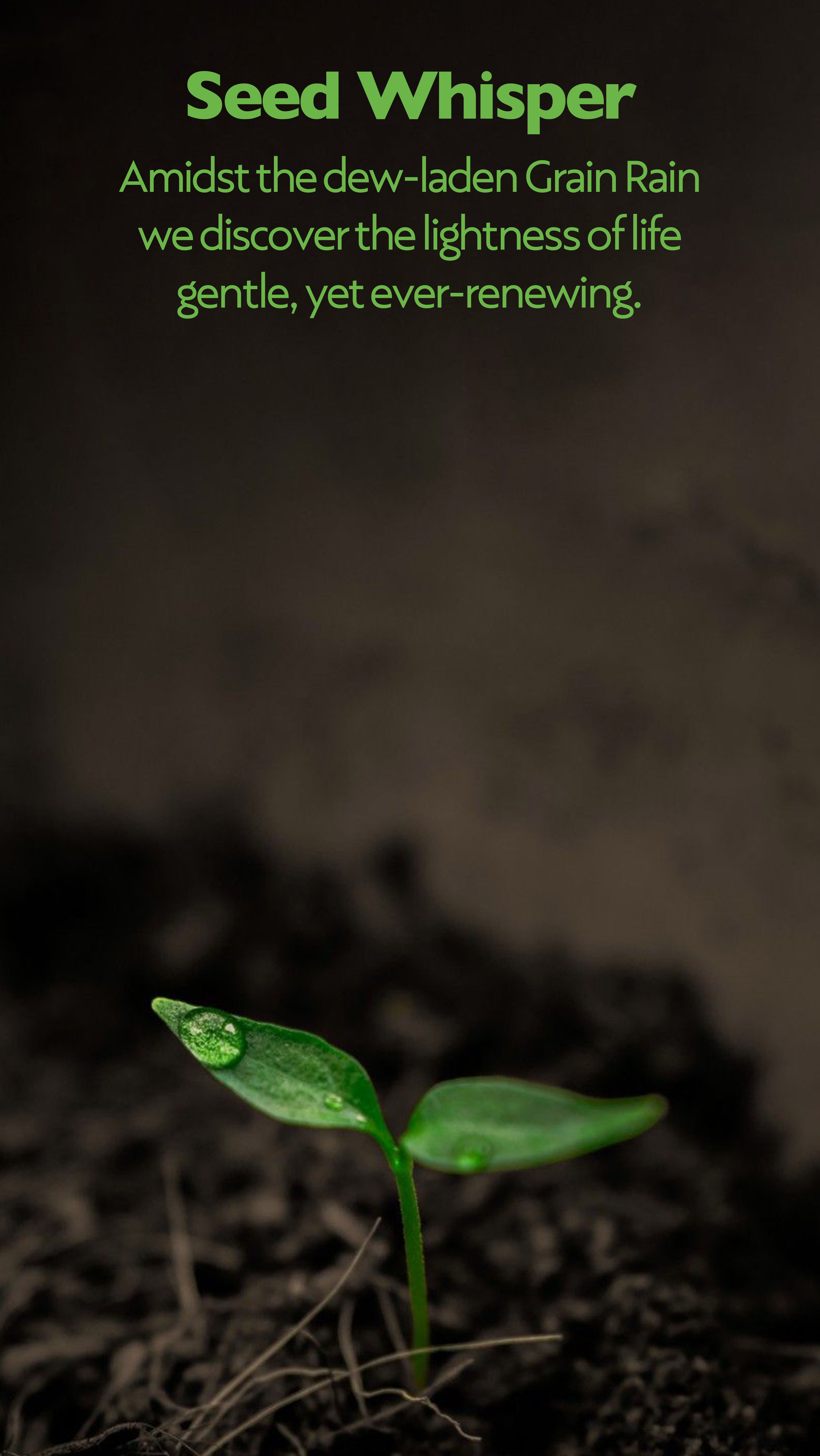 WUWEI Season Perfume - SEED WHISPER Long Lasting Perfume EDP 5ML Women ...