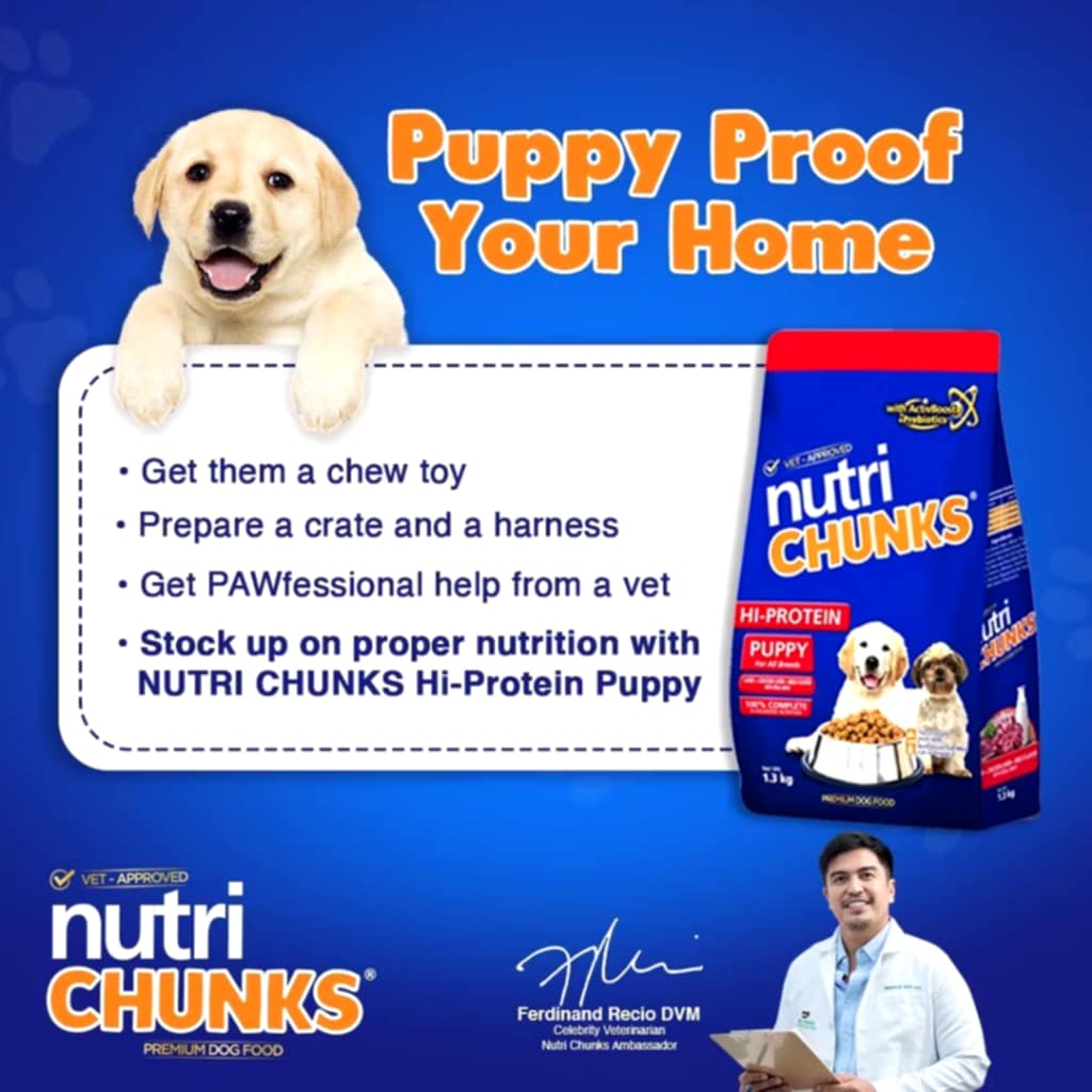 Nutri Chunks (NutriChunks) Puppy 1 (One) Kilo | Shopee Philippines