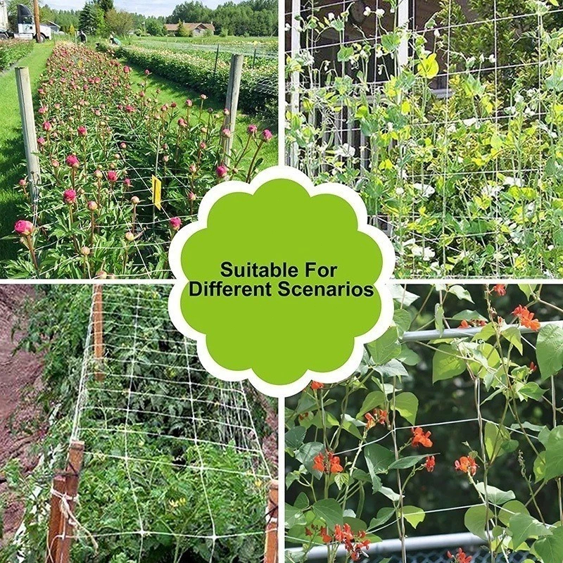 THICK Trellis Net (Balag) Vegetable Twine 10ft x 100m Trellising ...