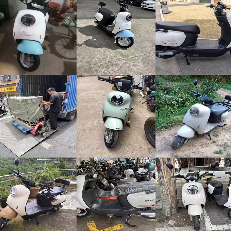 Dreams e bike motor bike electric bike for adult electric bikes 2 wheels electric bicycle 600W ...