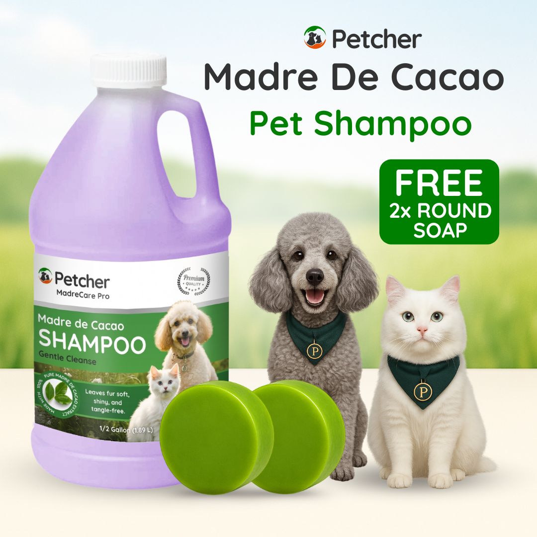 Petcher Madre De Cacao Pet Shampoo 1/2 Gallon with Free Soap for Dogs ...