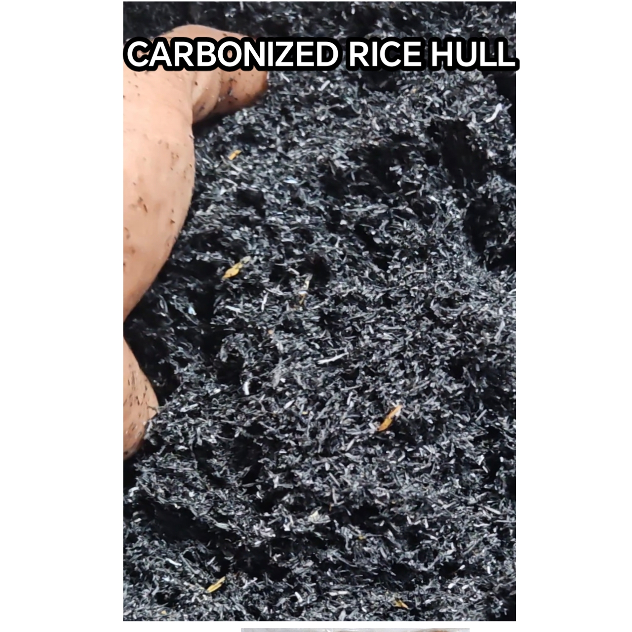 1kg Carbonized Rice Hull 1 pack | Shopee Philippines