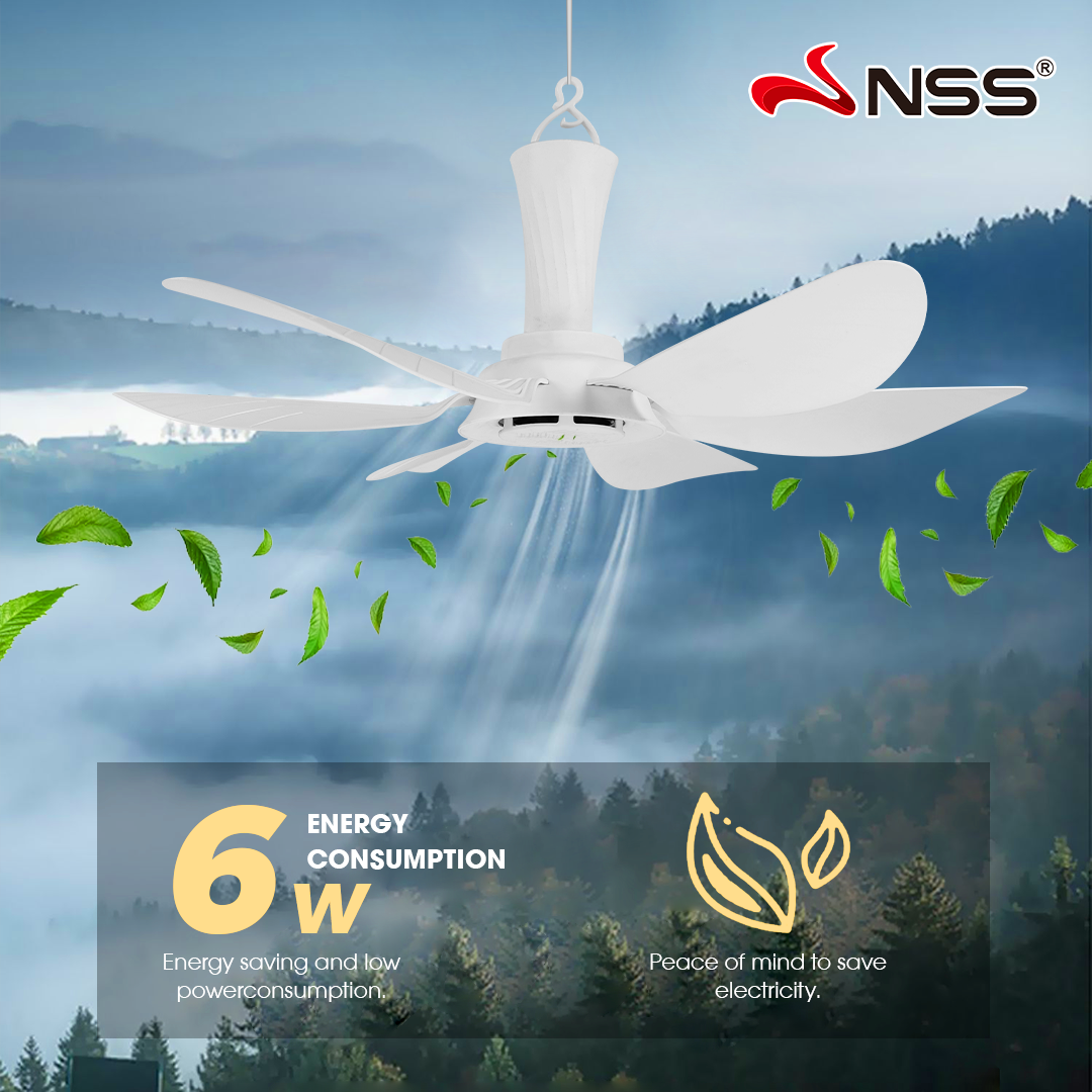【Davao Same-day delivery】NSS Electric Fan: 4 Blades, 700MM, 12W ...