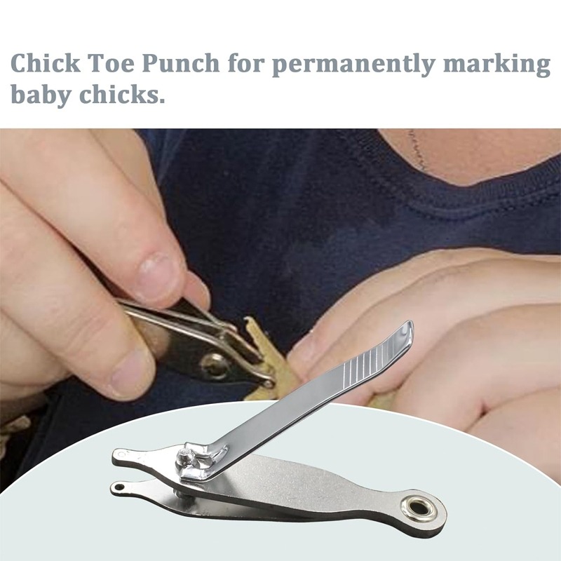 2mm Stainless Steel Chick Toe Puncher Marking Tags Gamefowl Chick for ...