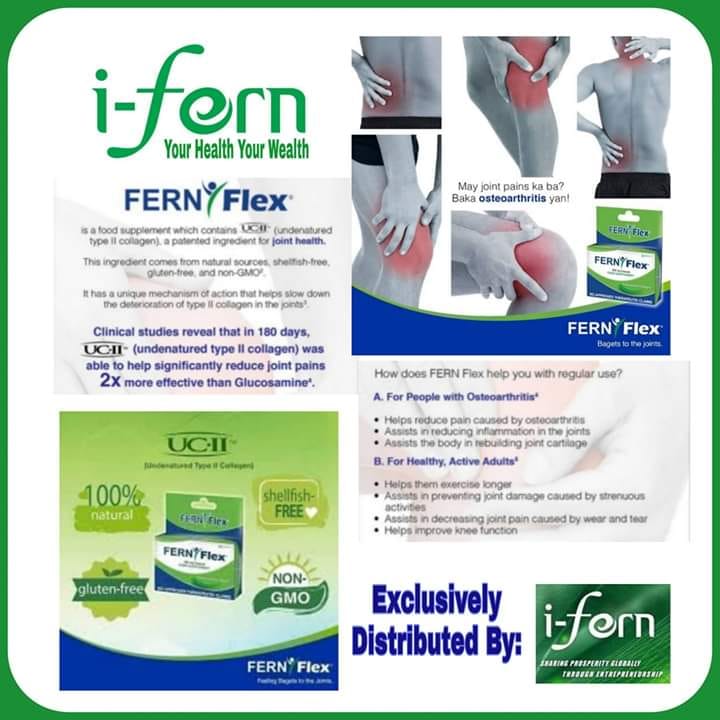 IFERN Buy1 Take1 FERN Flex Collagen for Joints and Muscles Support ...