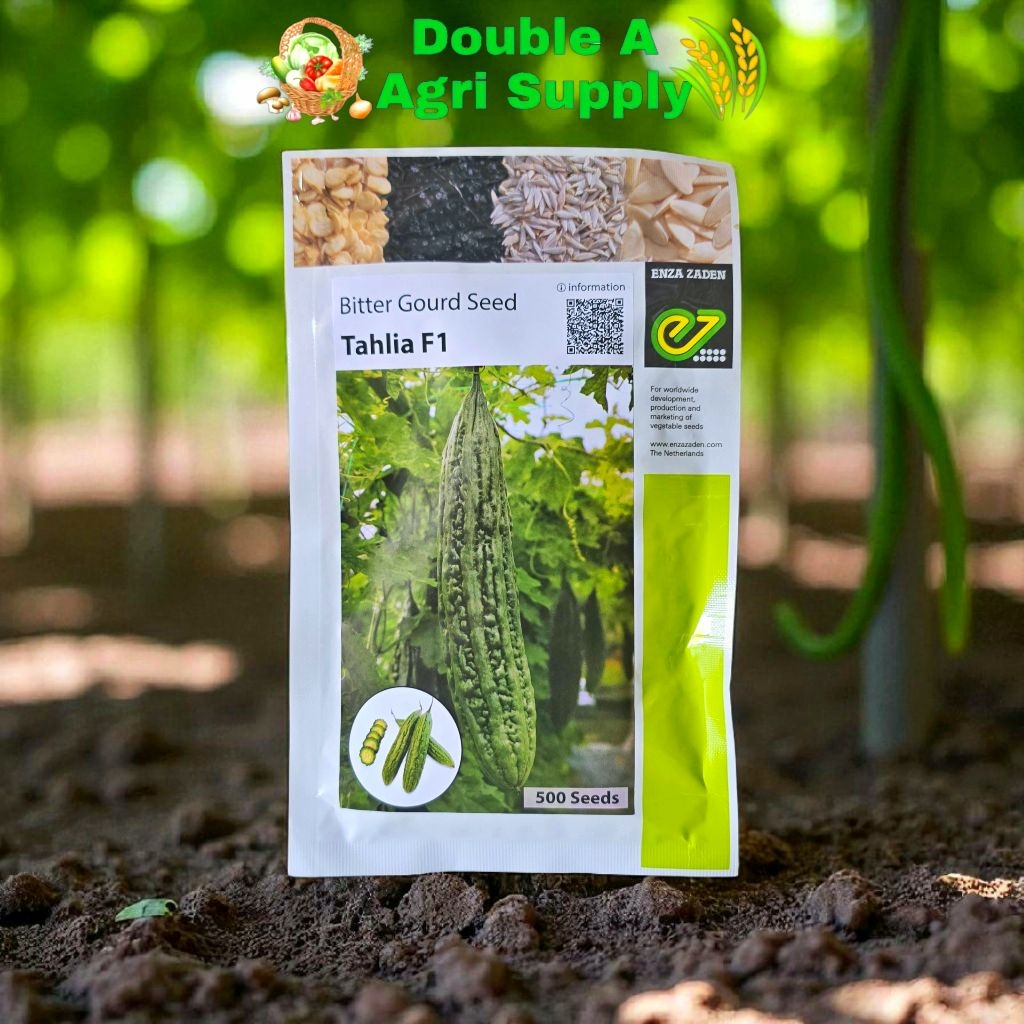 Tahlia F1 Hybrid Ampalaya / Bitter Gourd / 500 seeds - Enza Zaden ...
