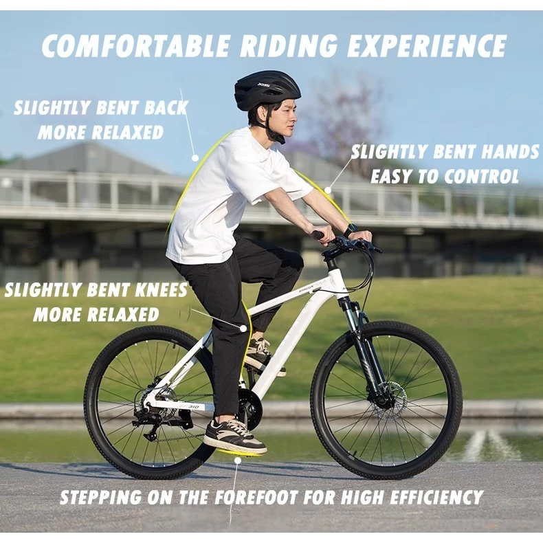 LUANDA Mountain Bike 26 Inch High Carbon Steel Adult Bicycles Shimano ...