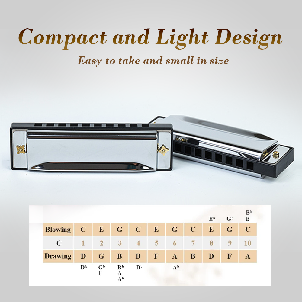 RIXTON Blues Harmonica Mouth Organ 10 Hole C Key with Case, Diatonic ...