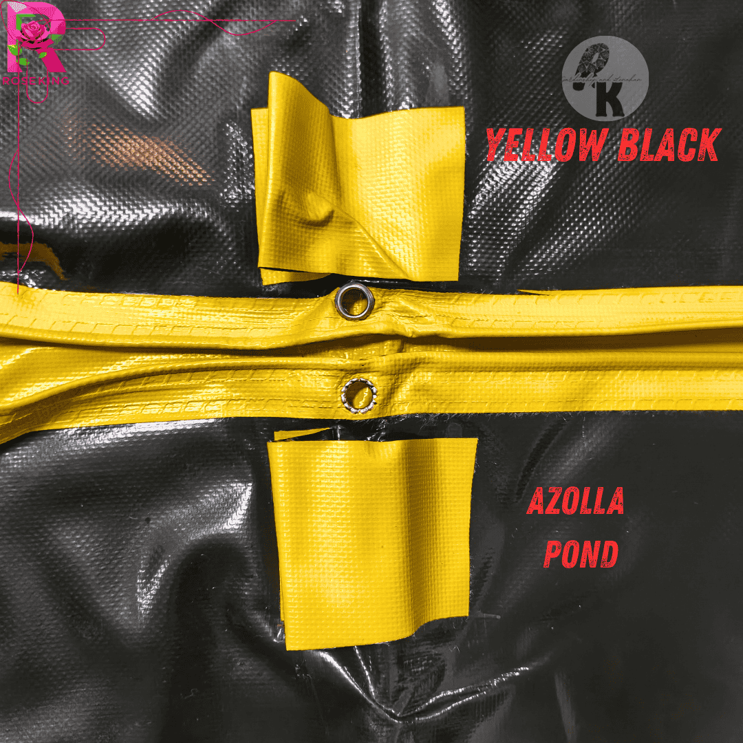 AZOLLA POND/BED LONA TRAPAL TRAPOND PVC 3x2x1ft,4x3x1feet BUY 1 TAKE 1 pang umpisa affordable ...