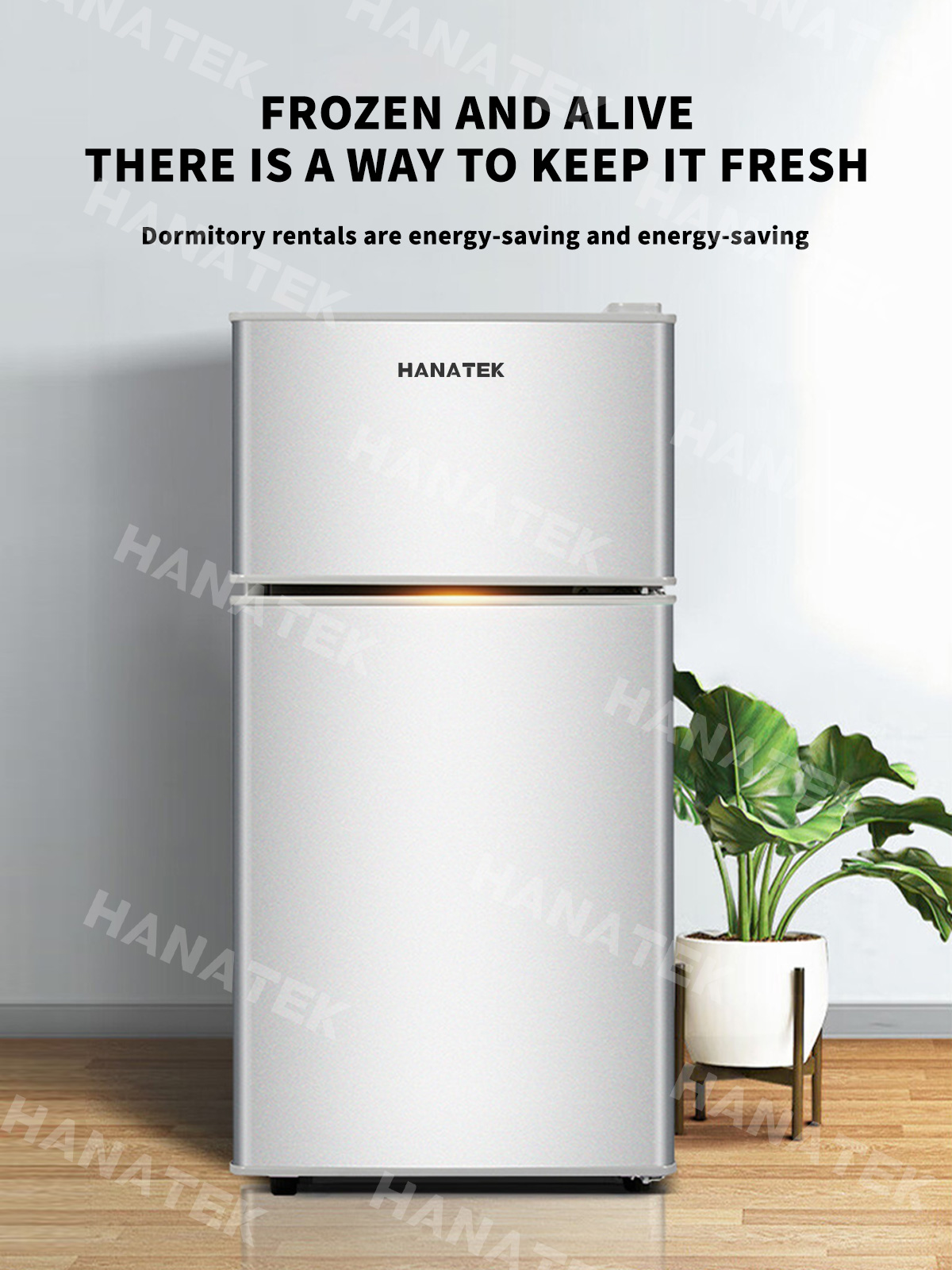 HANATEK Mini Refrigerator With Freezer 145L For Room Frost Fridge Save ...