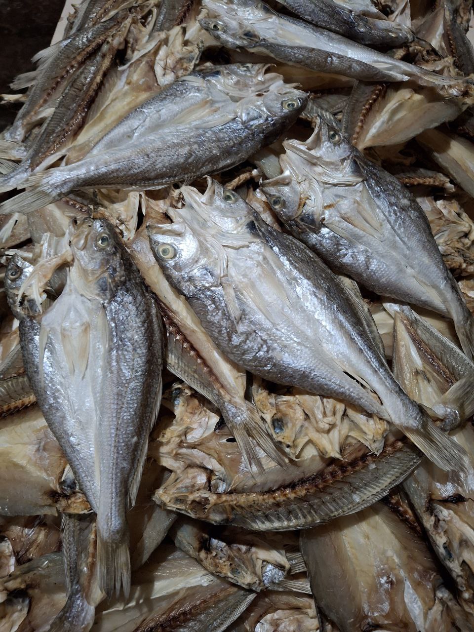 Daing Abo 125g | Vacuum Sealed | Traditional Dried Fish | Shopee ...