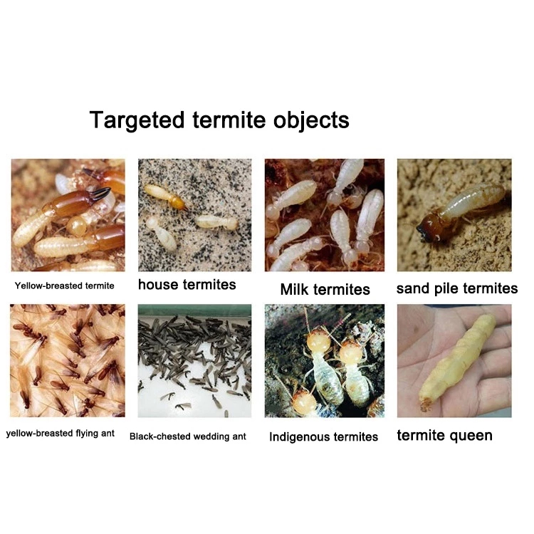 （75g） Termite Killer Powder Bait – Anti-Anay Killer for Termites, Fast ...