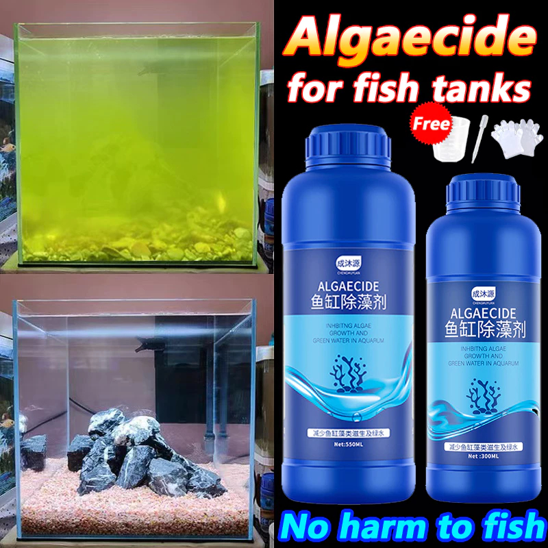 Free algae removal kit algae remover for aquarium 300ml/550ml anti ...
