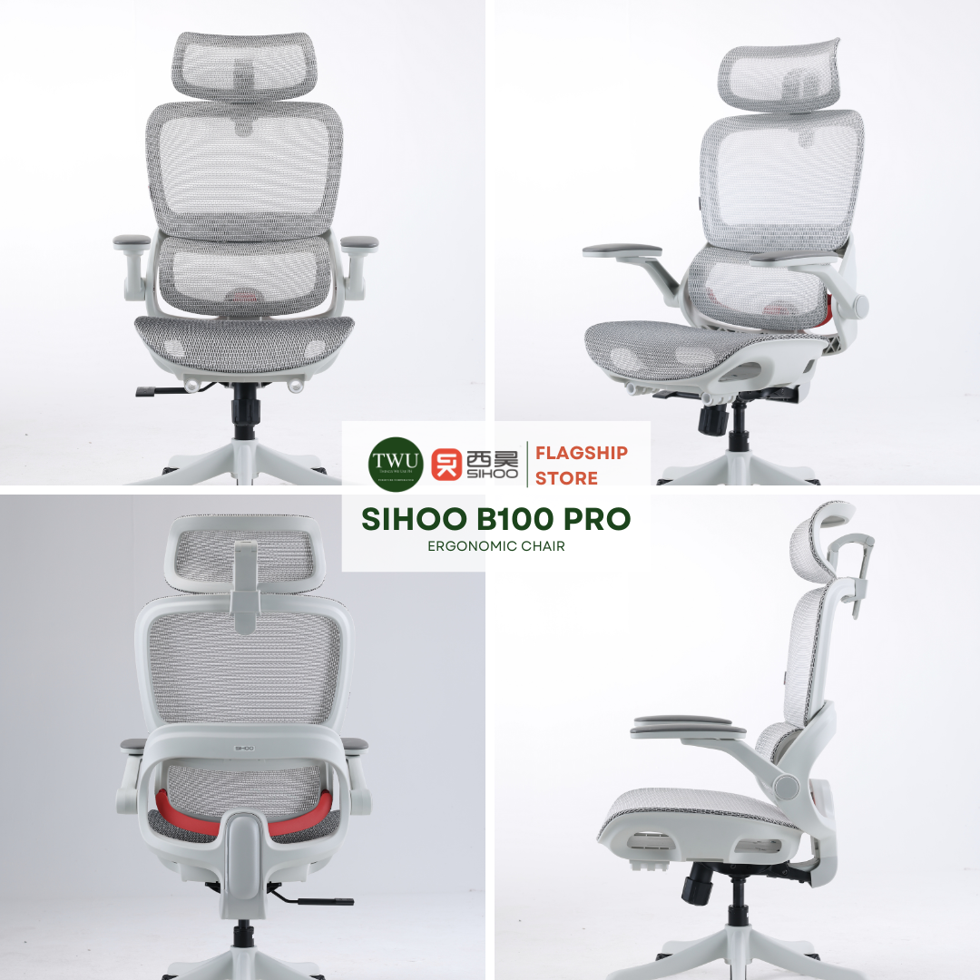 SIHOO B100 SERIES Ergonomic Office Chair with 2-Year Warranty | Office ...