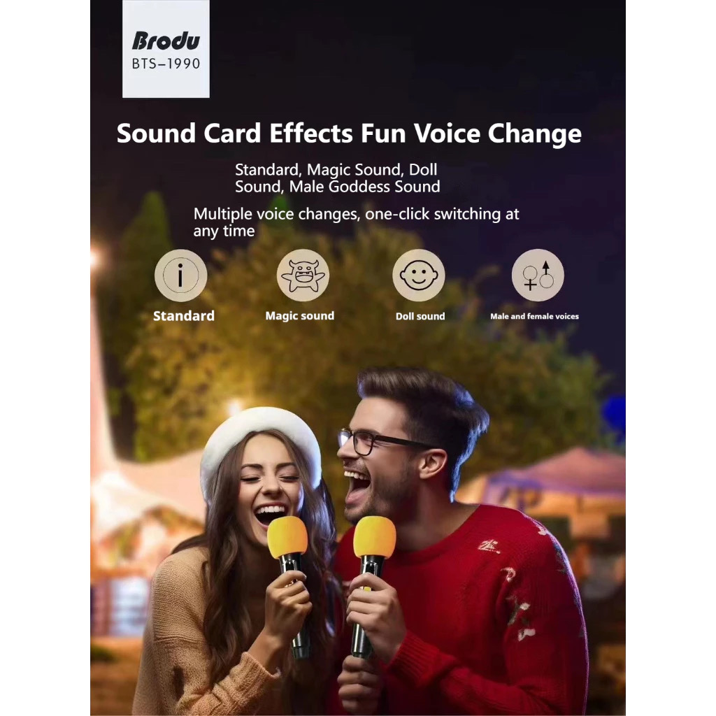 Brodu BTS-1990 KARAOKE BOX professional system Bluetooth speaker with 2 ...