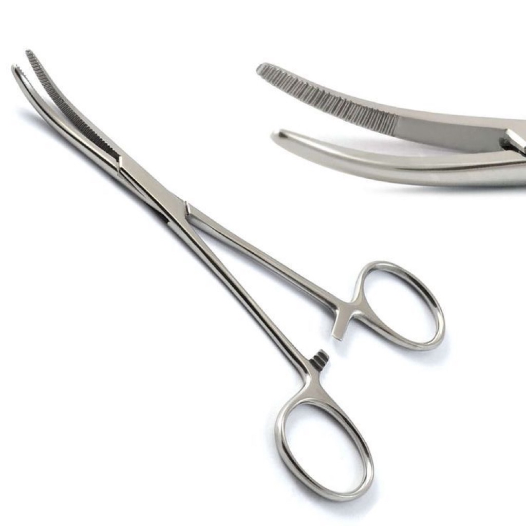 Kelly Forcep Straight And Curved ( Stainless Steel ) | Shopee Philippines