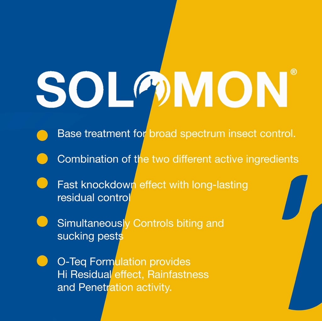 Solomon 300 OD/ 100ml / Insecticide | Shopee Philippines
