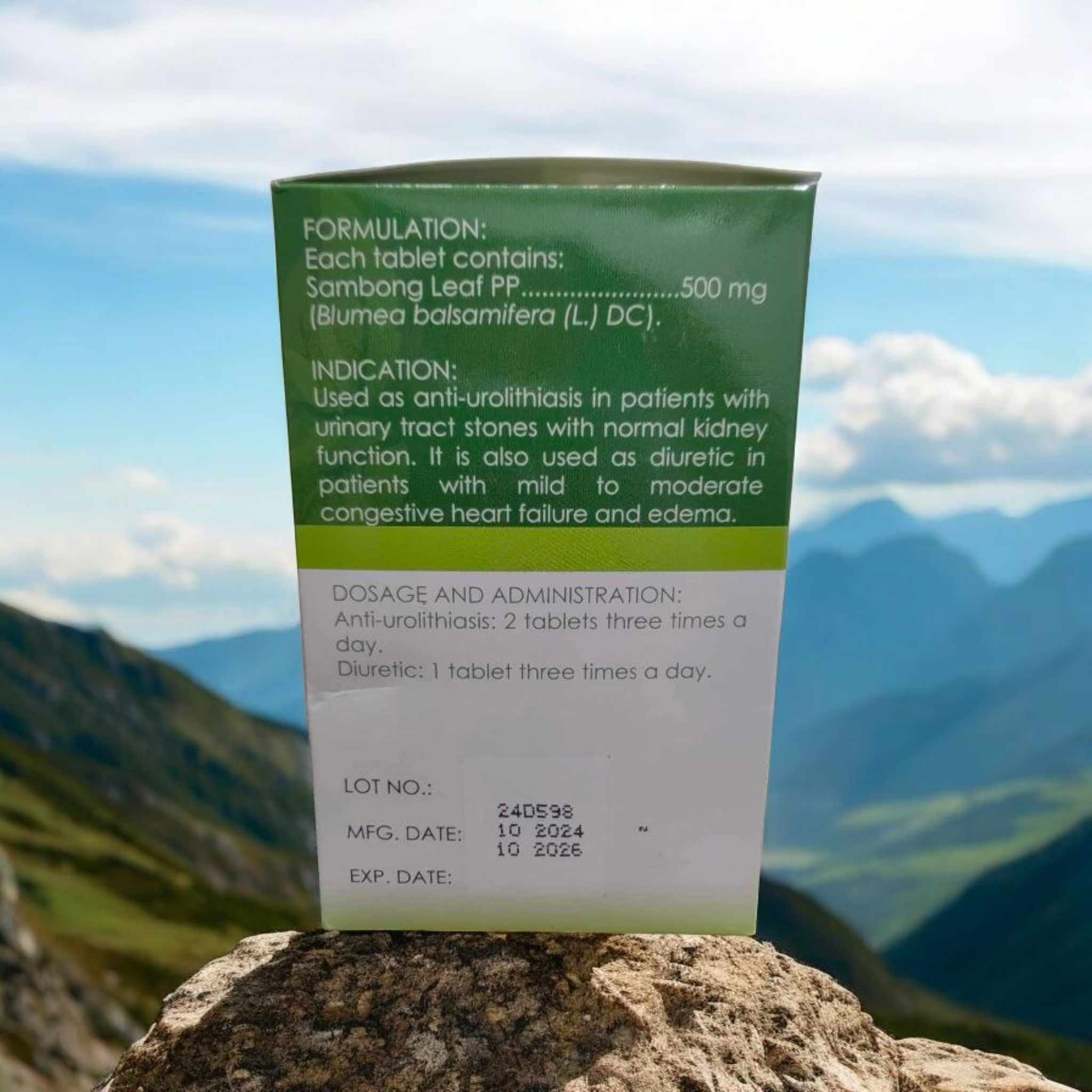 SAMBONG LEAF (URO - LEAF) 500 mg 100s Tablet | Shopee Philippines