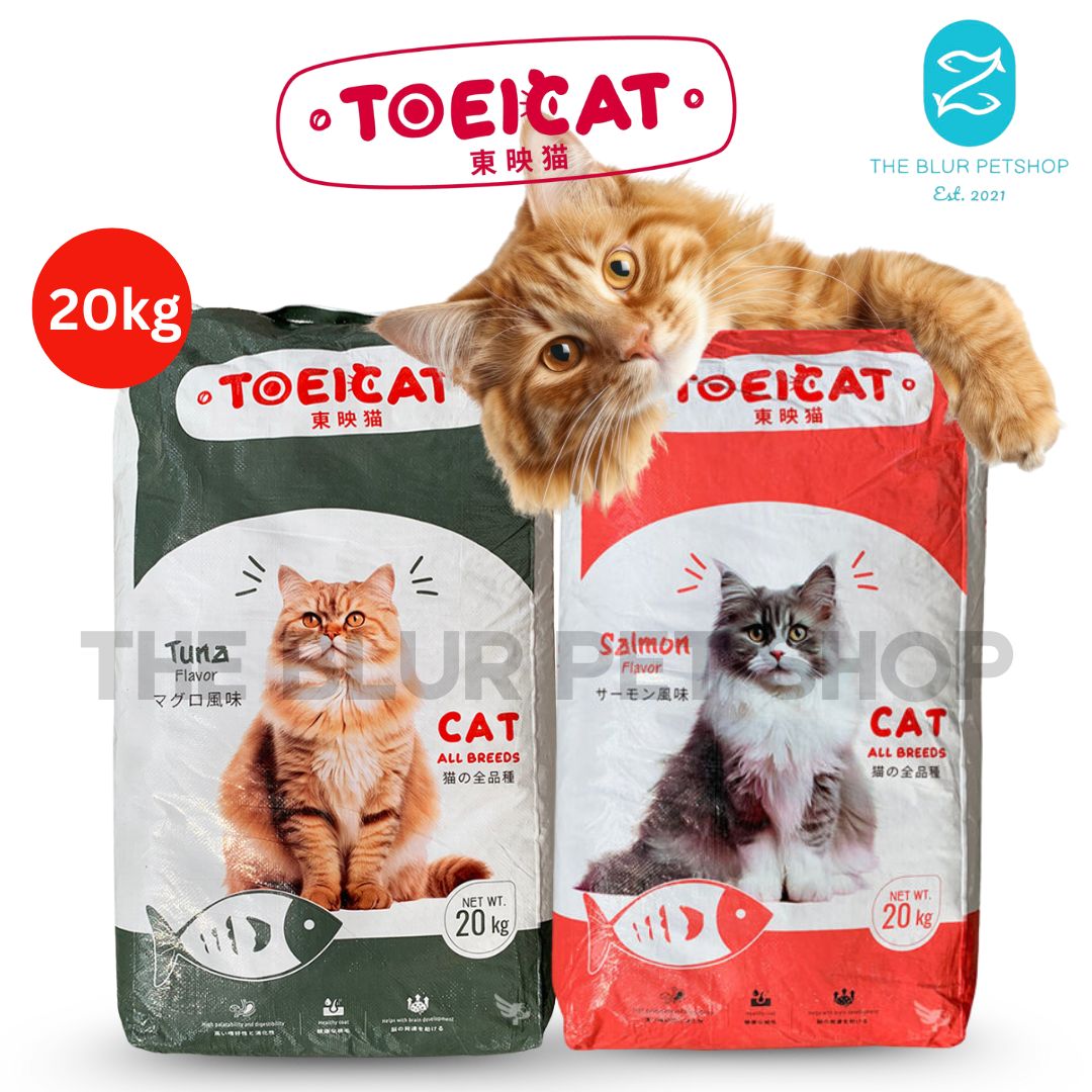 1kg Toei Cat Dry Food All Stages Adult Kitten Salmon Tuna Flavor Cats ...