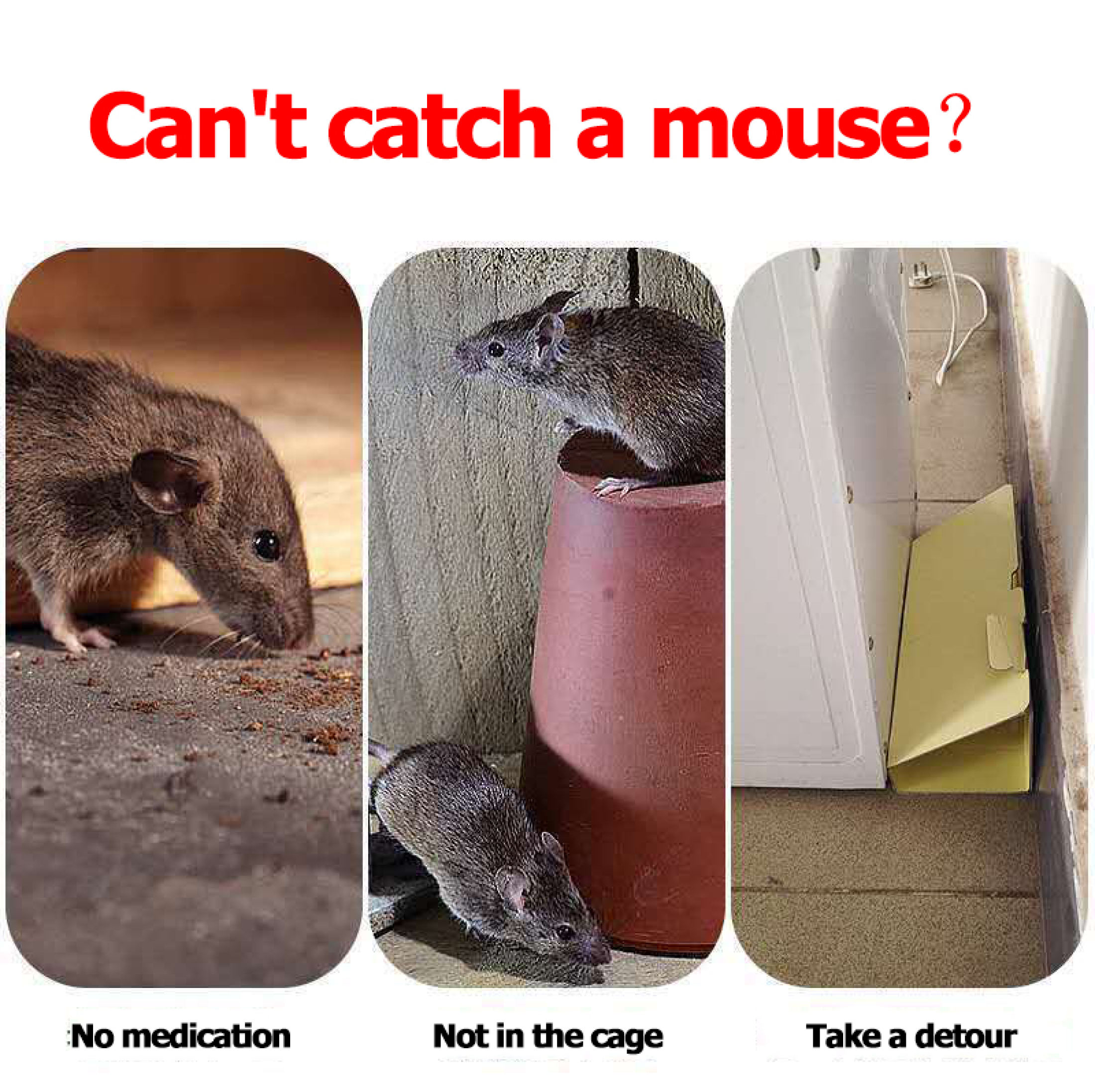 【120*27cm】mouse trap for big rats sticky mouse trap rat trap sticky ...