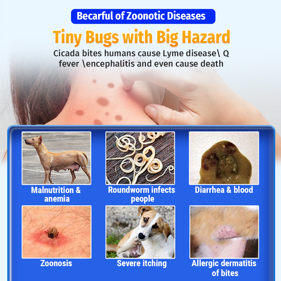 Hegen Pet Tick & Flea Remover Avermectin Spot-On Treatment For Dog ...