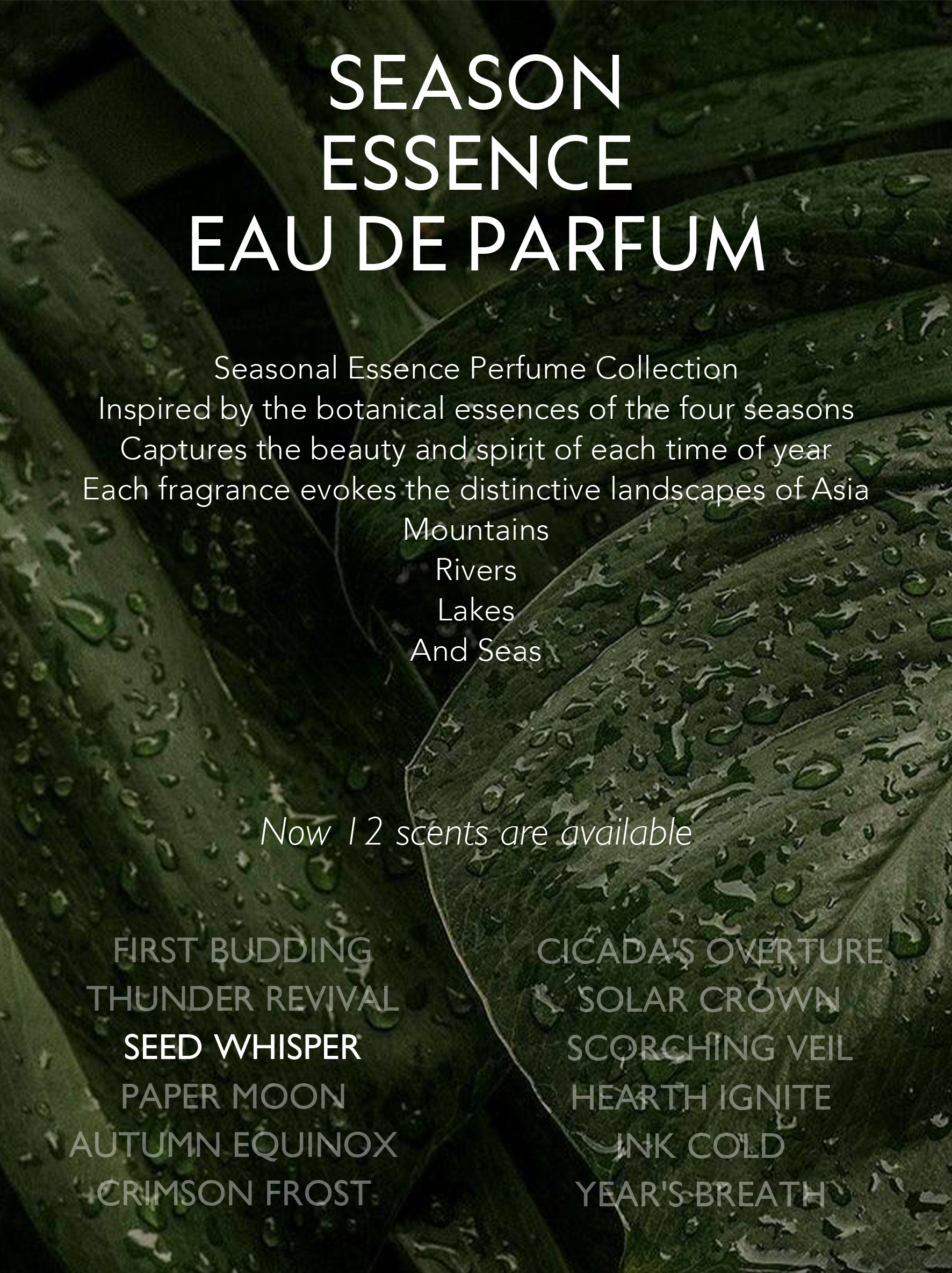 WUWEI Season Perfume - SEED WHISPER Long Lasting Perfume EDP 5ML Women ...