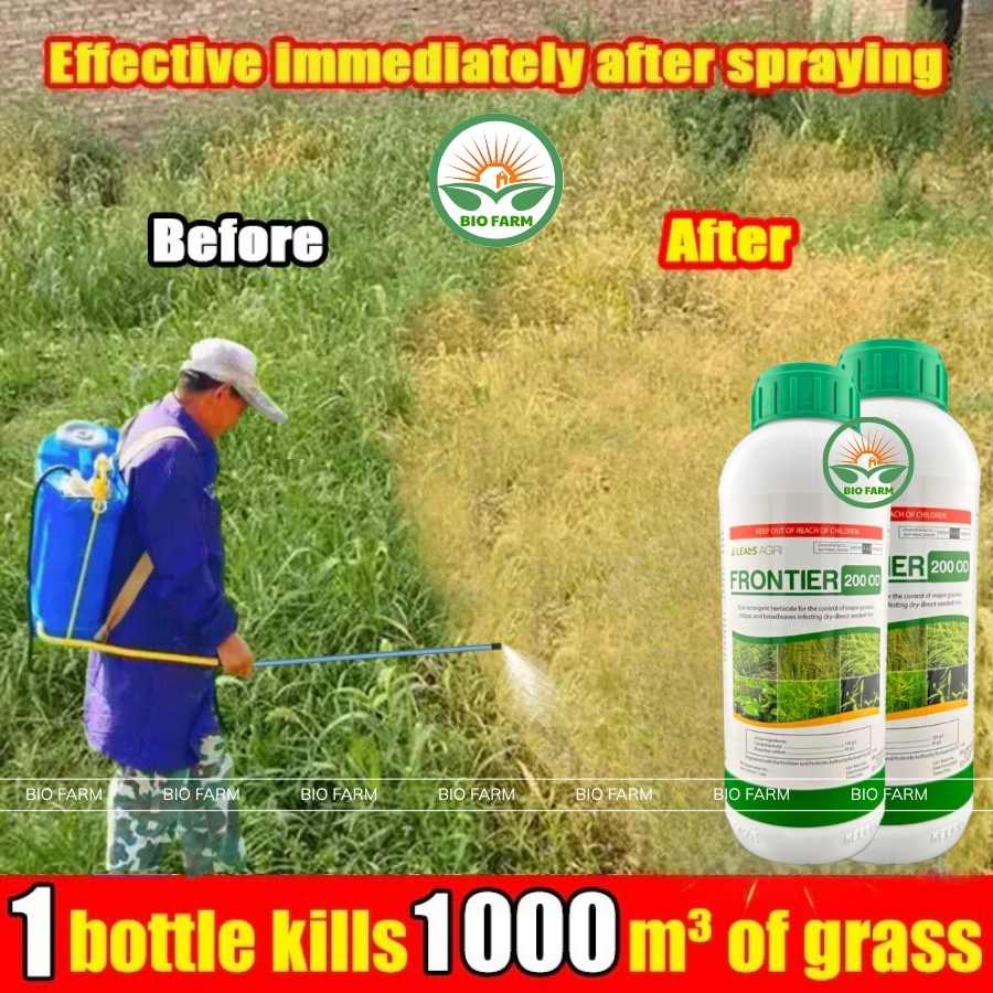 CLEAN GRASS AFTER 7 DAYS - FRONTIER Herbicide 1 Liter Japan, Organic ...