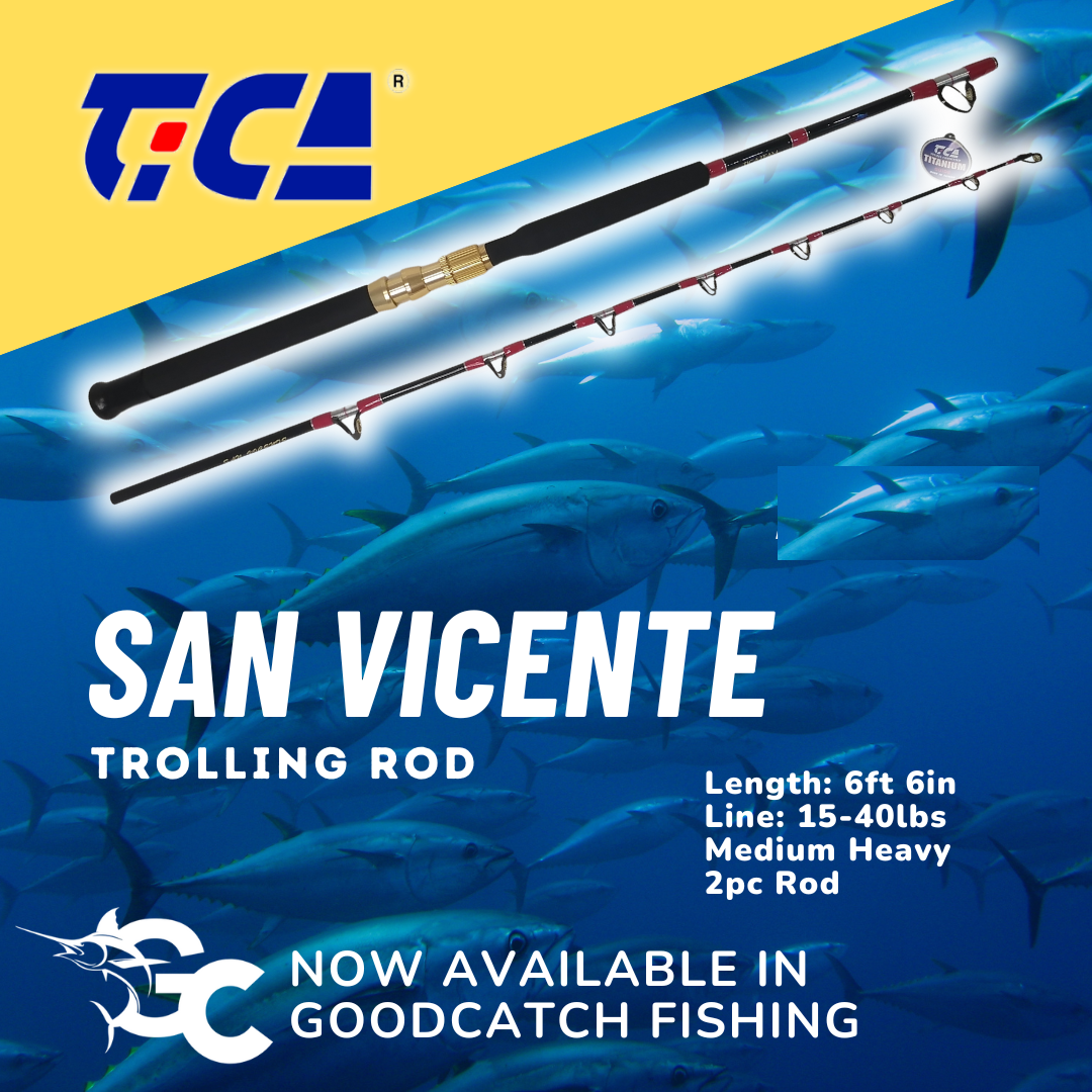 Tica San Vicente GCSVB419802 6'6" Trolling Rod | Shopee Philippines