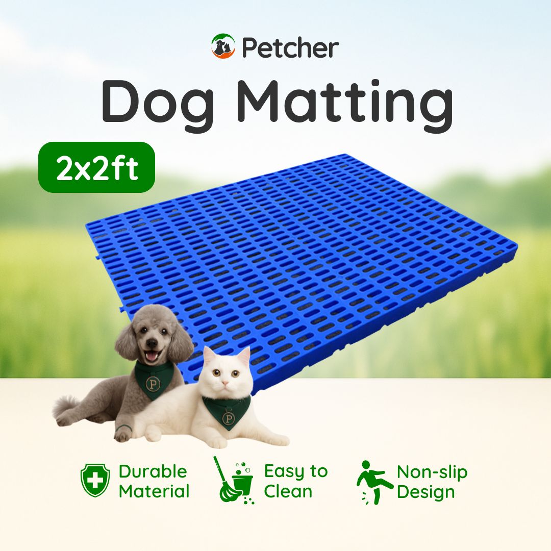 Heavy Duty Plastic Matting for Dog 2ft x 2ft Interlocking Square Pet ...