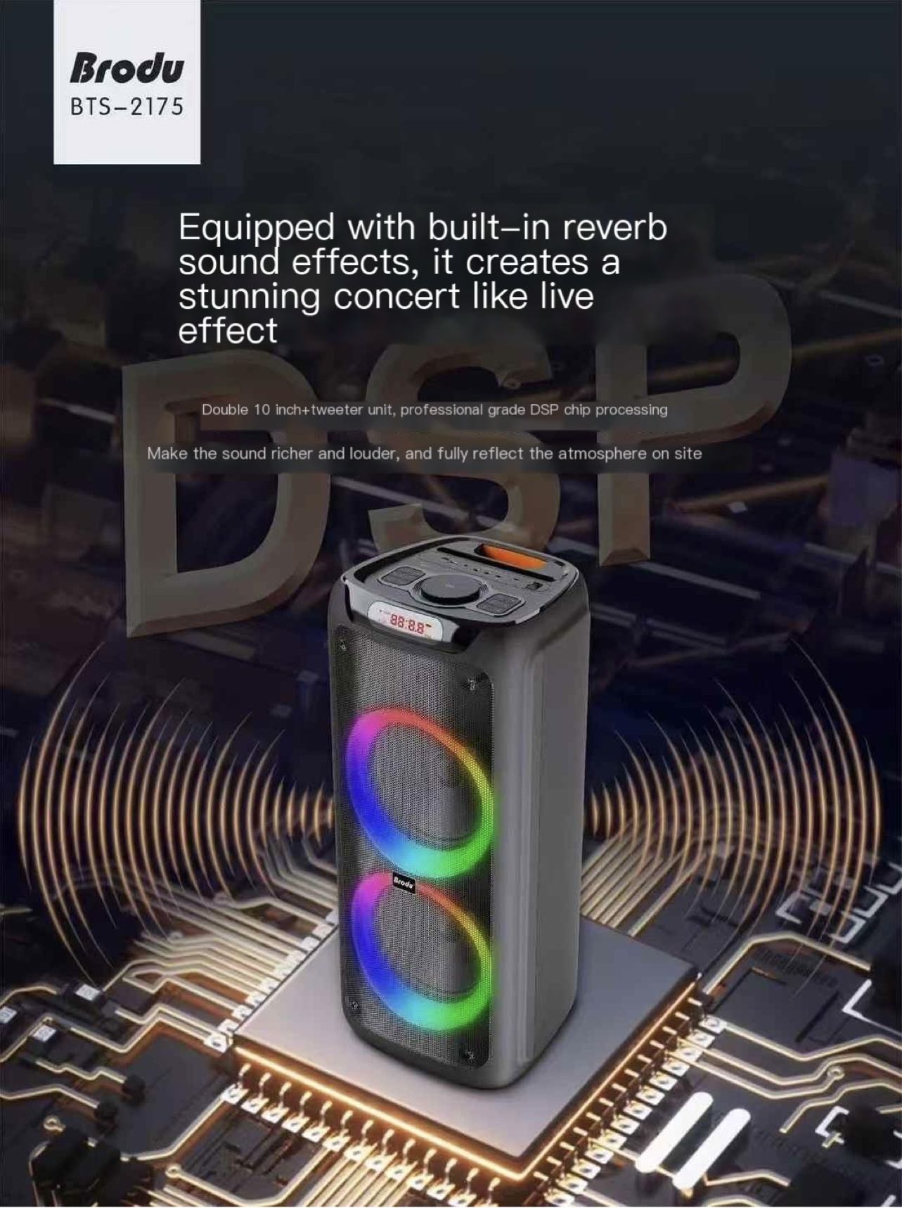 Brodu BTS-2173 IKARAOKE BOX professional system Bluetooth speaker with ...