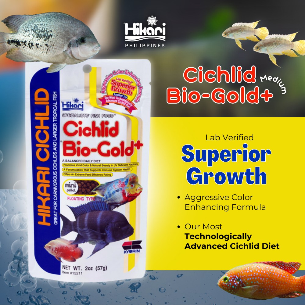 Hikari Cichlid Bio-Gold Plus + (Superior Growth, Aggressive Color ...