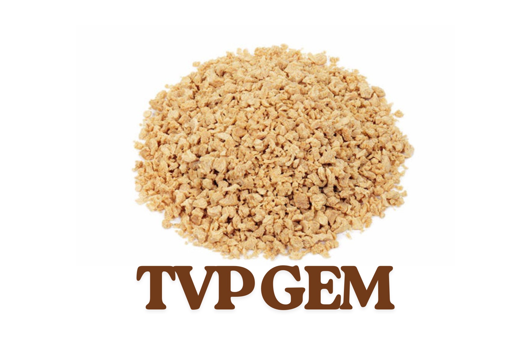 Vegan Vegetarian Giniling TVP Gem | Shopee Philippines