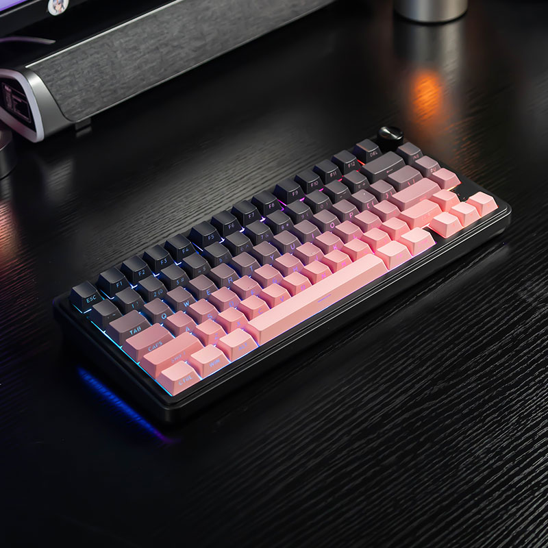 RX75 Pro Wireless Keyboard Wired Gaming Mechanical Keyboards Blue Hot ...