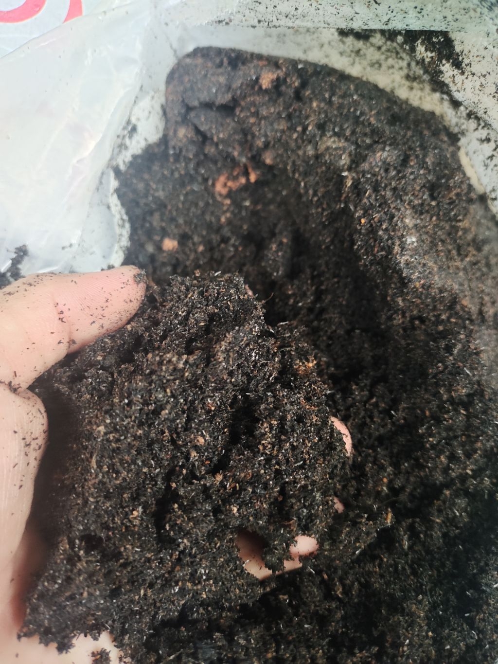 Organic Loam soil Matabang Lupa For plants Complete Organic Soil 1 Kg ...