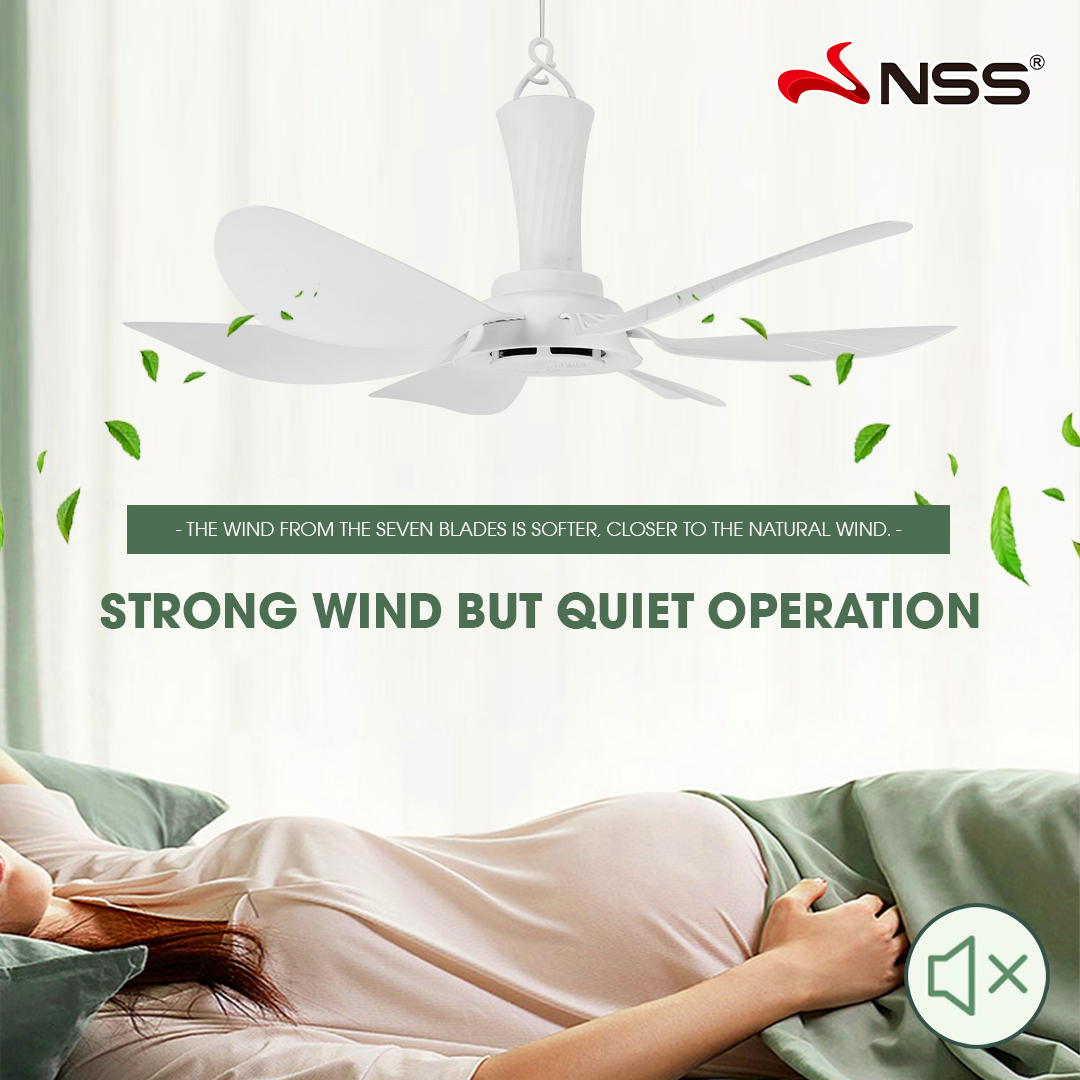 【Davao Same-day delivery】NSS Electric Fan: 4 Blades, 700MM, 12W ...
