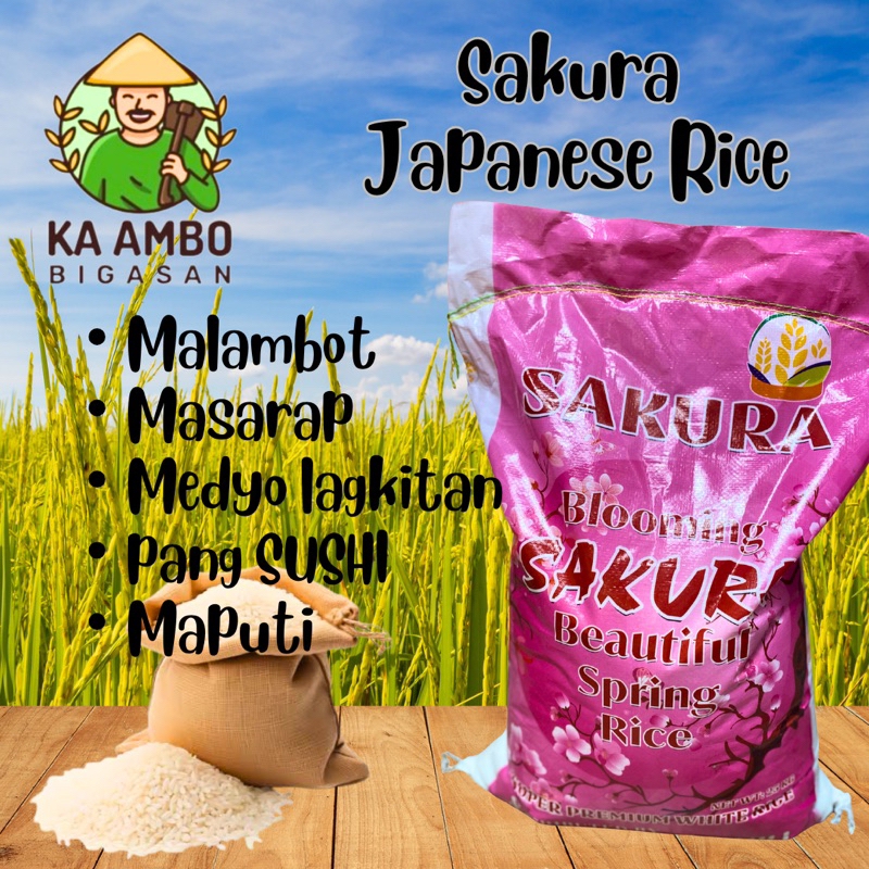 JAPANESE RICE SAKURA For sushi and Authentic Japanese Dishes | Shopee ...