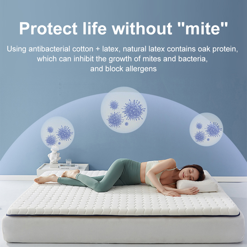 Sponge Mattress High-Density Memory Foam Back Care Antibacterial & Dust ...