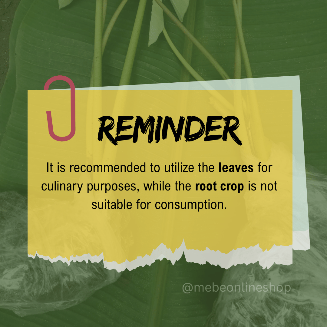 Edible Taro(Gabi )Bulbs | Purple Yam (Ube) PANGTANIM (Luzon only ...