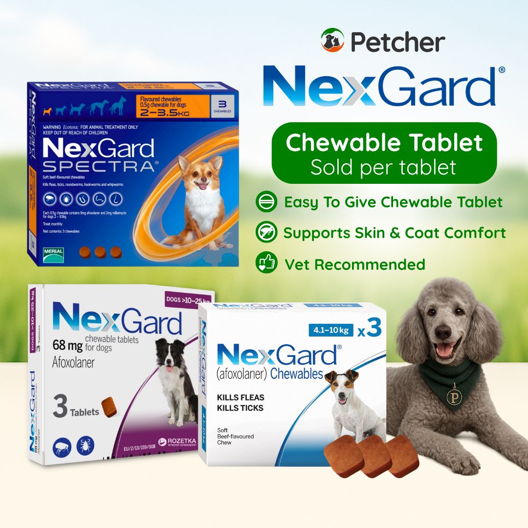 Nexgard and Nexgard Spectra Chewable 1 Tablet Anti Ticks and Fleas for ...