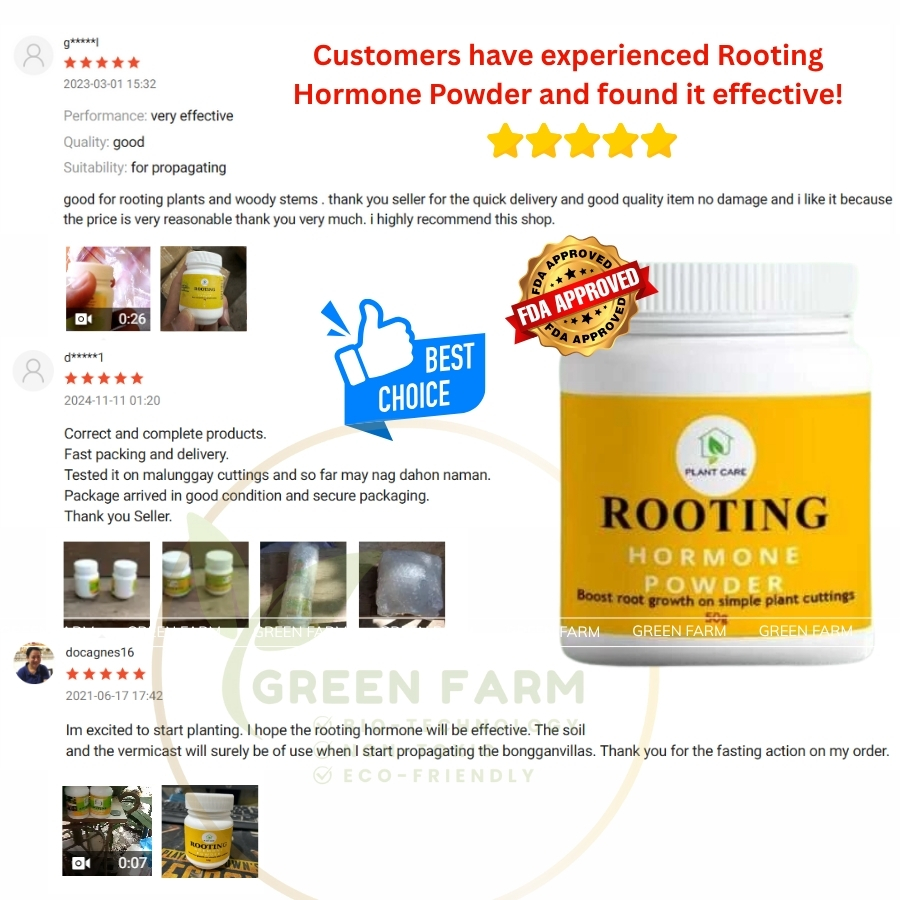 [BEST SELLER] Plant ROOTING POWDER With Enhanced Growth Hormone ...