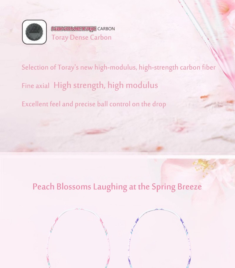 ALPSPORT 4U Full Carbon Badminton Racket 100% Full Carbon Fiber ...