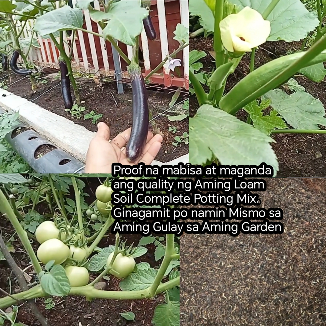 LOAM SOIL COMPLETE POTTING MIX 5kg (The Best Organic Loamsoil) | Shopee ...