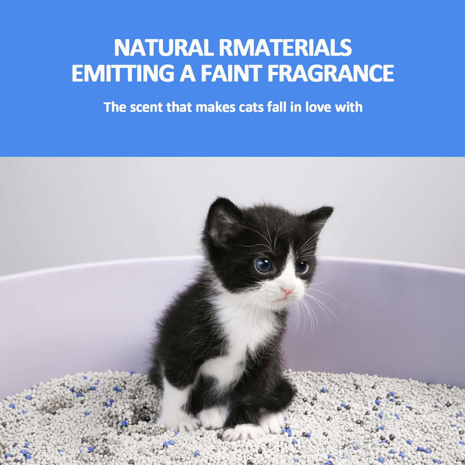 10L/5L Bentonite Cat litter High Absorption Odor Control Clumping Food ...